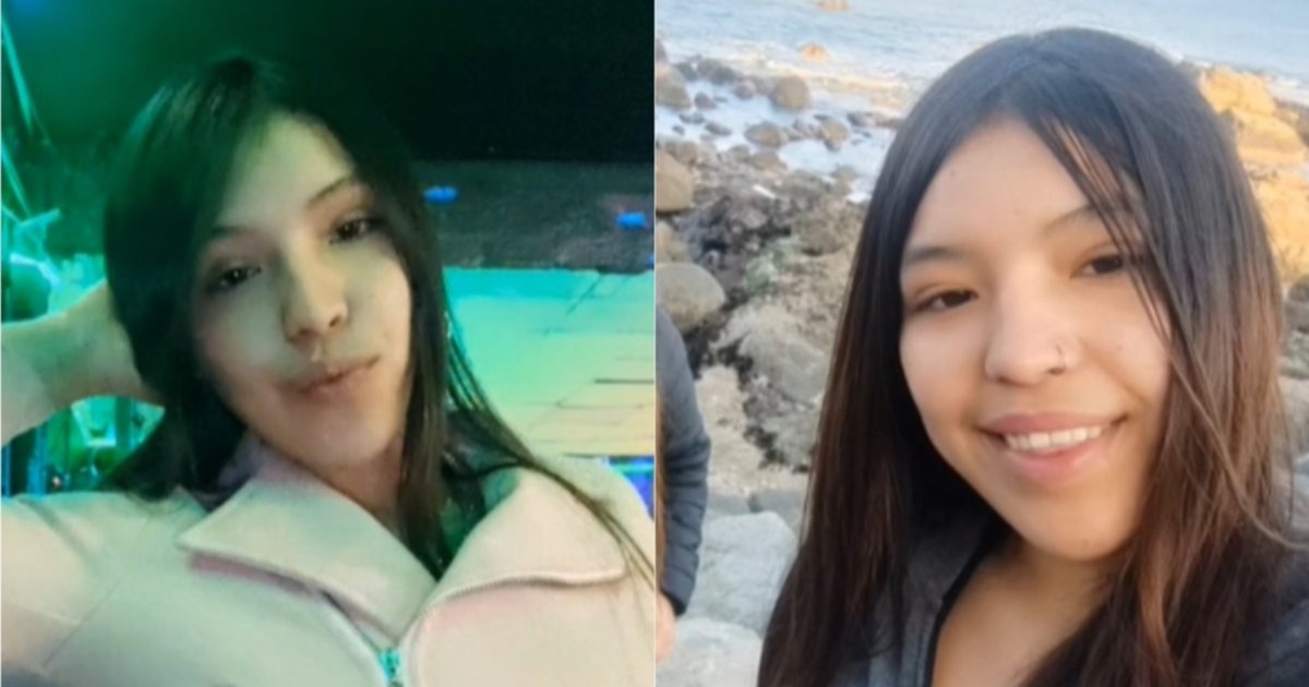 Buzo que encontró cuerpo de Michelle Silva desclasificó preocupante dato Buzo que encontró cuerpo de Michelle Silva desclasificó preocupante dato