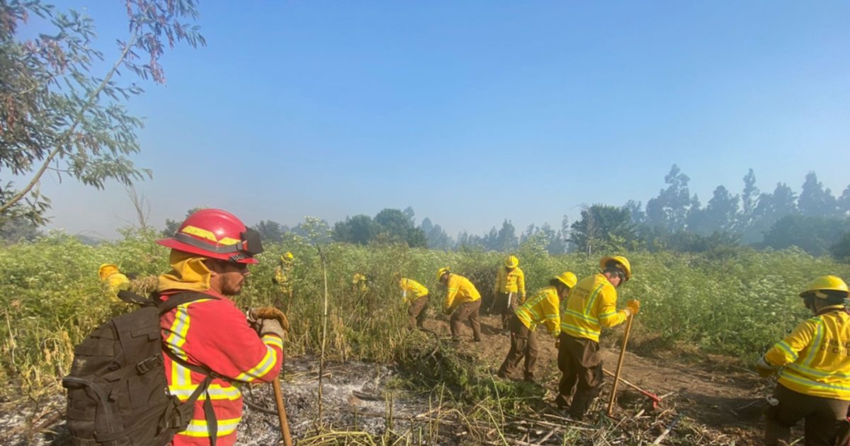 Incendio Forestal Piden Evacuar Sector De Las Mellizas En Limache